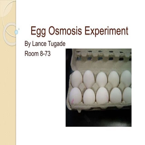 Lance's Egg osmosis experiment | PPTX