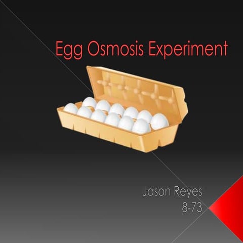 Egg osmosis experiment | PPTX