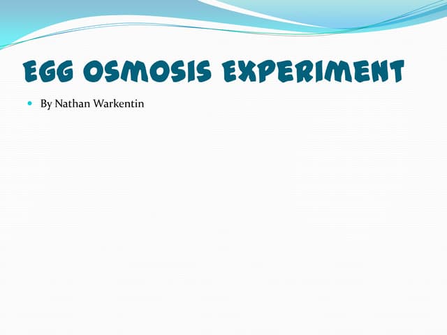 Egg osmosis experiment | PPTX