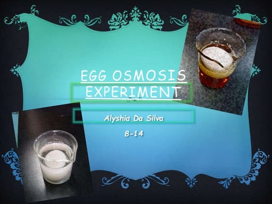 Egg osmosis experiment | PPTX | Chemistry | Science