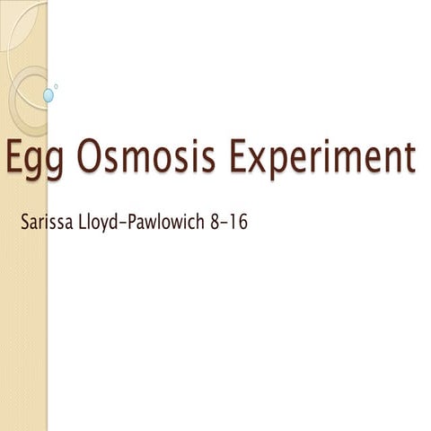 Sarissa Lloyd 8-16 Egg osmosis experiment powerpoint | PPTX