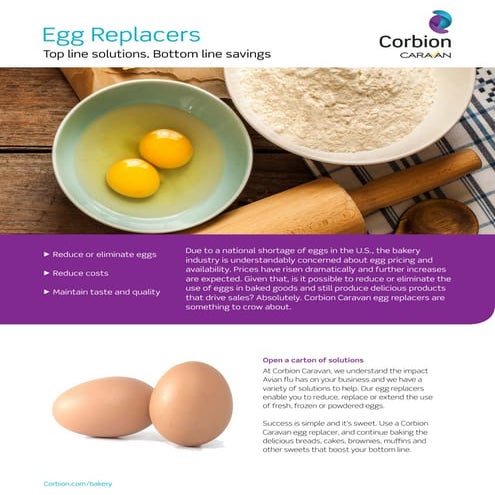Egg Replacement Solutions | PDF