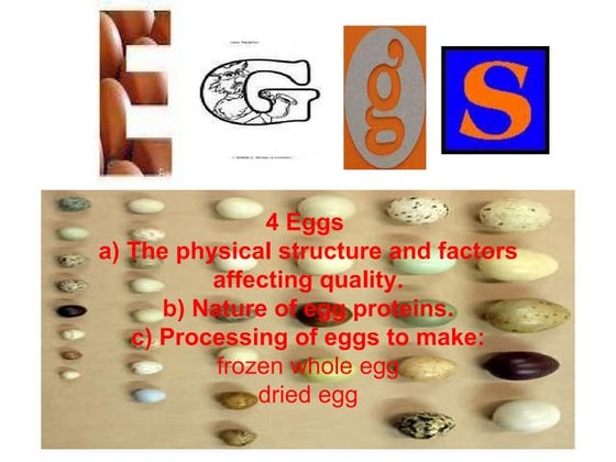 Market forms of egg | PPT