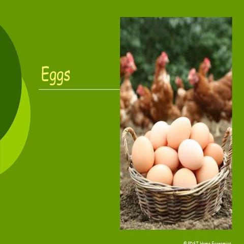 Eggs | PPT | Desserts and Baking | Food & Drink