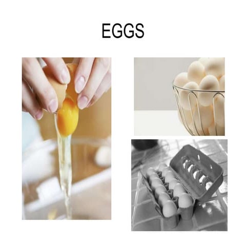Eggs ppt | PPT
