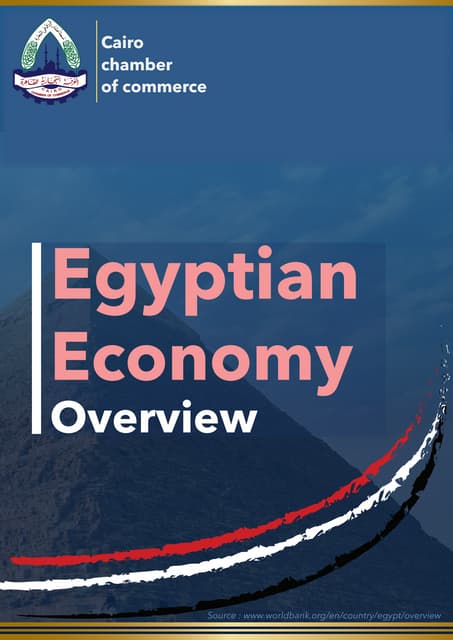 الاقتصاد المصرى | PDF