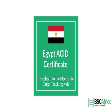 Egypt ACID Certificate Procedure BSC Africa | PDF