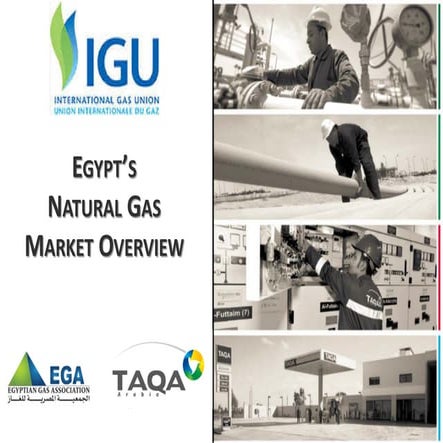 Egypt Gas Map.pdf