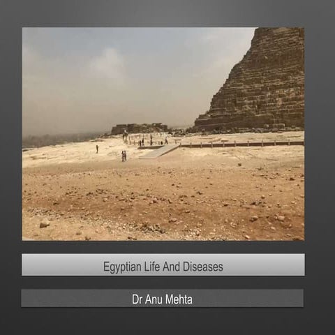 Egyptian Life and Diseases Connected With It By Dr. Anu Mehta | PPT