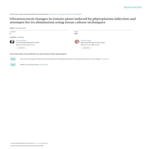 Ultrastructural changes in tomato plant induced by phytoplasma ...