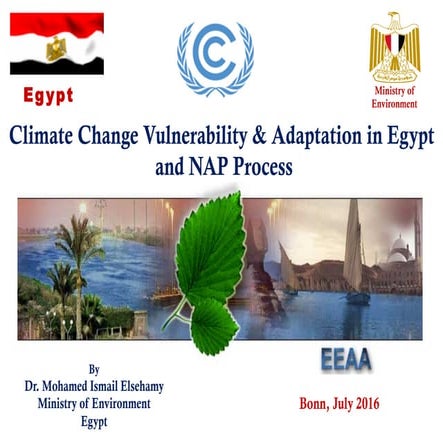 Climate change vulnerability and adaptation in Egygpt and NAP process | PDF