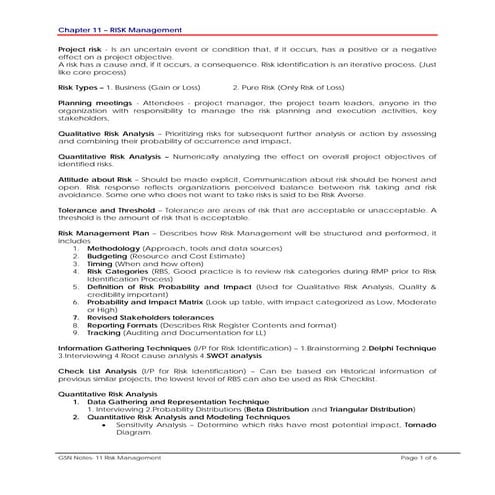 11 risk management | PDF