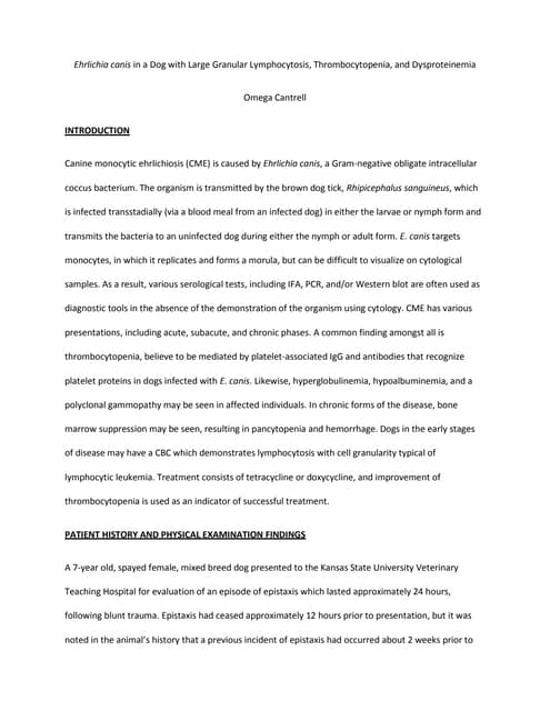 Client Handout - Fleas | DOCX