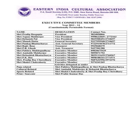 Eica executive committee 2013 | DOC