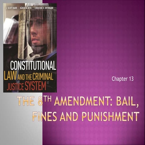 Eighth Amendment: Bail, Fines, and Punishment | PPT