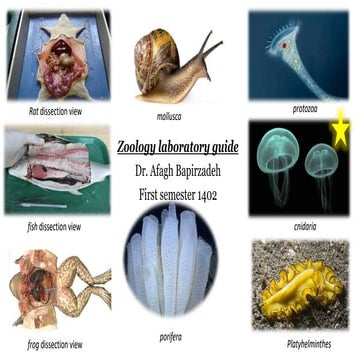 eighth section zoology laboratory guide.pptx