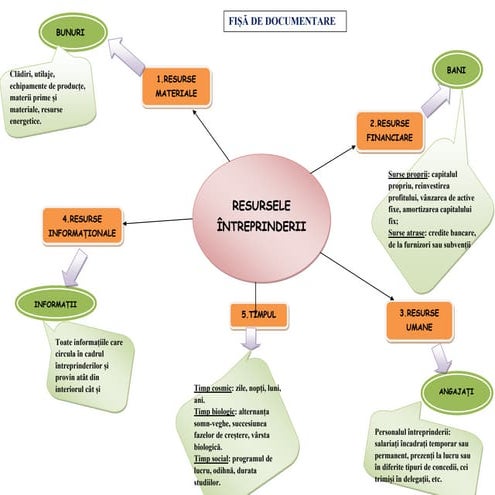 Resursele intreprinderii | PDF