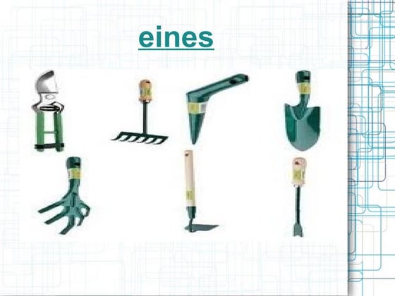 Eines hort | PPT