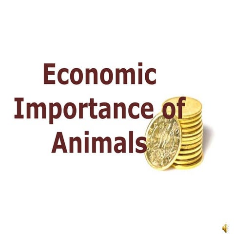 Economic Importance of Animals | PPTX