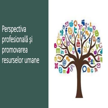 Perspectiva profesionala si promovarea resurselor umane | PPTX