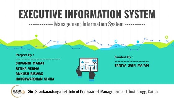 Executive Support System (ESS) | PPTX | Computing | Technology & Computing