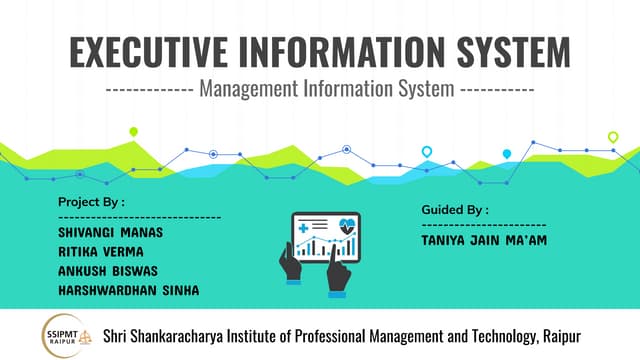Executive support system (ess) | PPTX