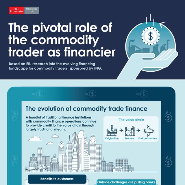 Economics of Commodity Trading firms by Pirrong trafigura | PDF