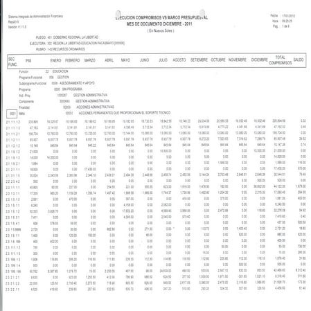 Ejec comprom dic110001 | PDF