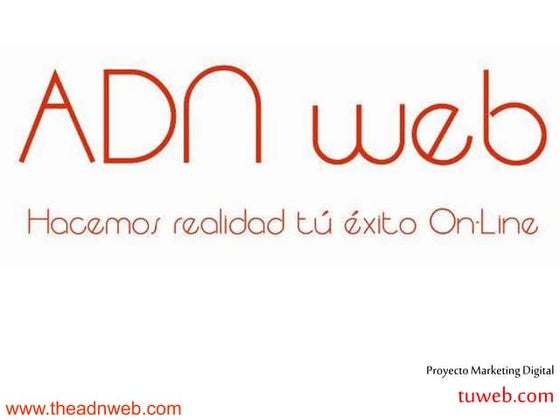 Beeldprikkels portfolio | PDF