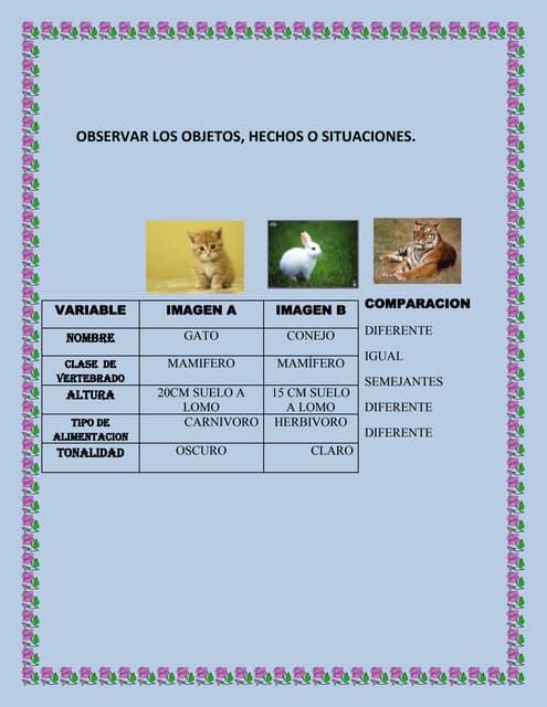 Proyecto: “Siembro una planta y adorno mi escuela” | PDF