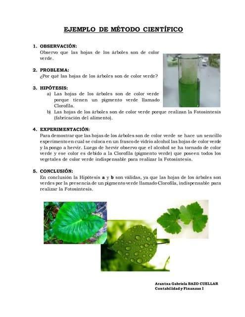 Hojas De Trabajo Del Método Científico Para Niños El Método