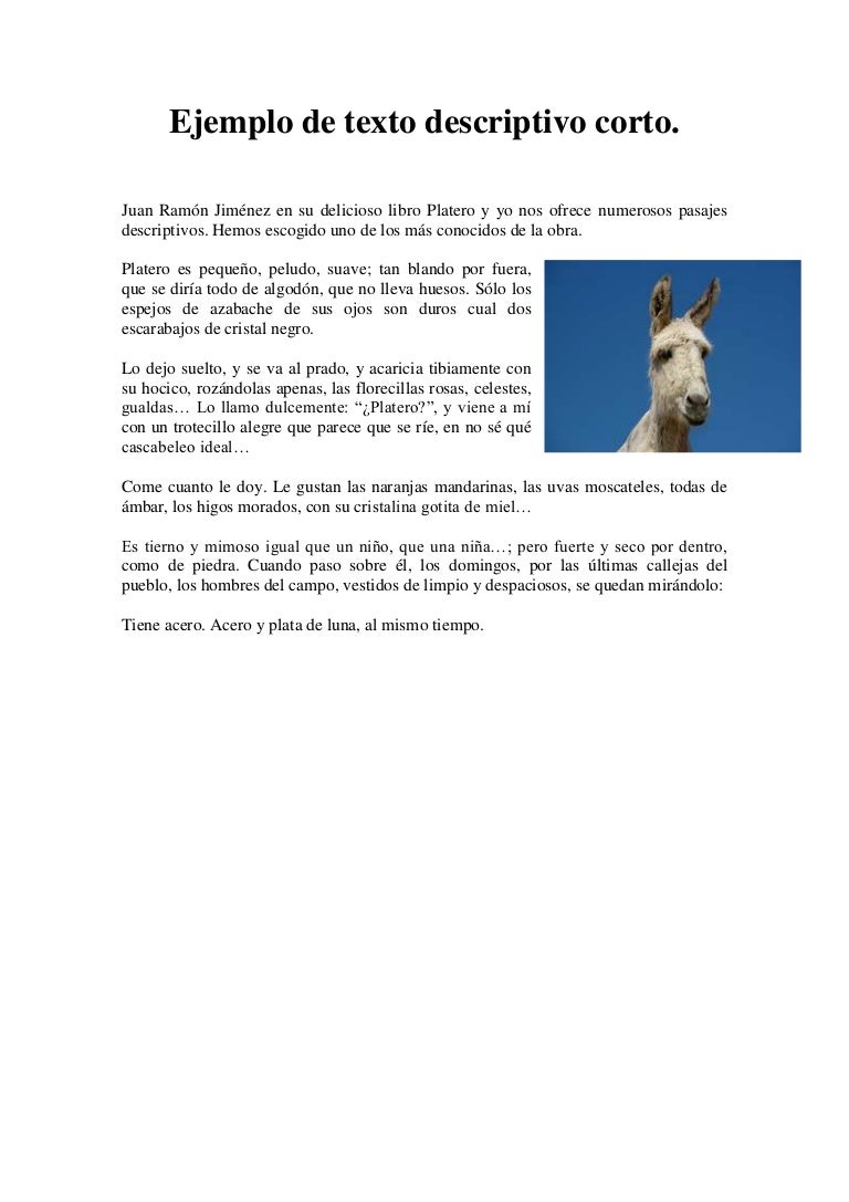 Ejemplo Texto Descriptivo Corto Ejemplo Texto Descriptivo Corto
