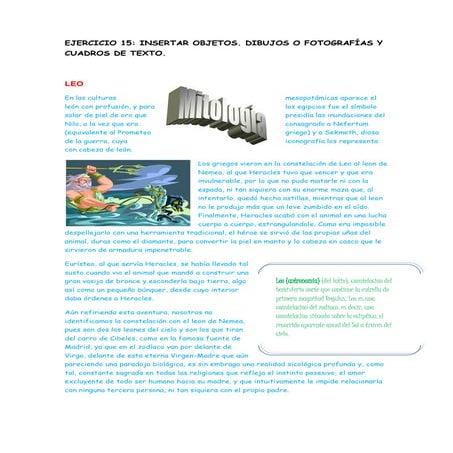 ACC 490 Week 4 LT Assignment Apollo Shoes Case Assignment 2015 version ...
