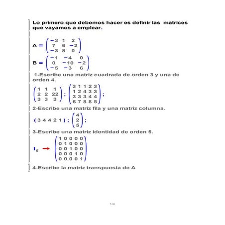 EJERCICIO DE MATRICES RESUELTO CON WIRIS | PDF