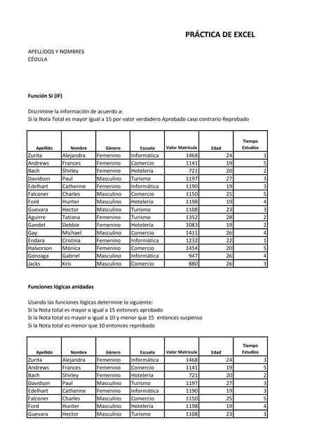 Practica Funciones | PDF