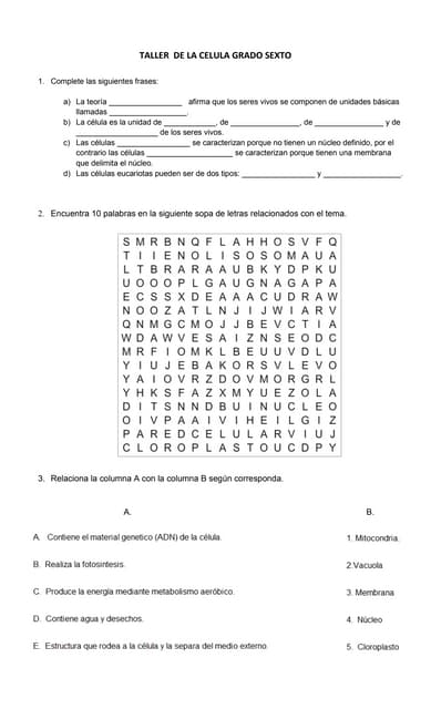 Examen ciencias Cèlulas, Reinos Seres Vivos quinto | PDF