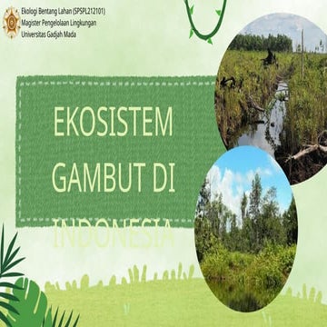 PRESENTASI TUGAS KULIAH EKOSISTEM GAMBUT.pptx