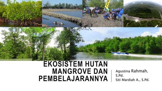 Tantangan dalam pengelolaan ekosistem mangrove di Indonesia | PPT