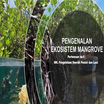 Ekosistem Mangrove.pptx