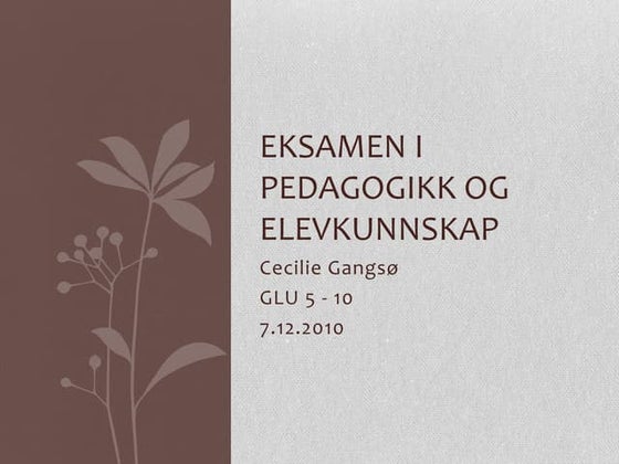 Eksamensoppgave - Nadira | PPT