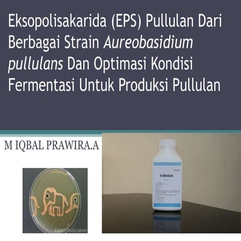 Eksopolisakarida (eps) pullulan dari berbagai strain | PPTX