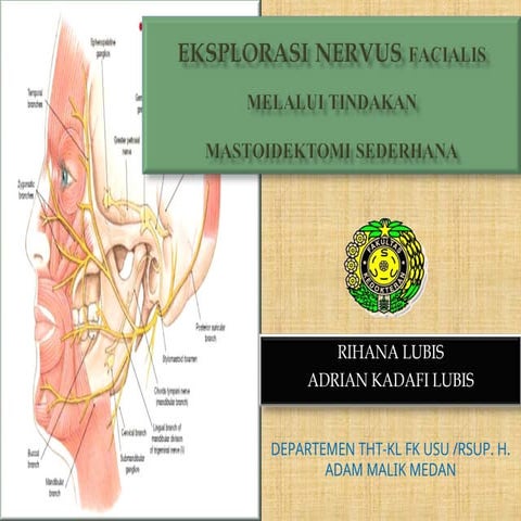kelumpuhan nervus facialis presentasi ppt | PPTX