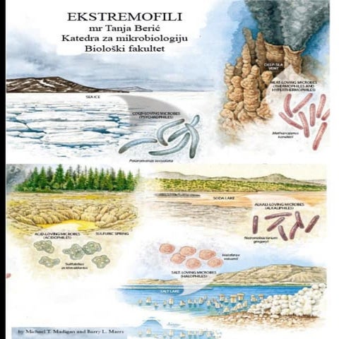 Ekstremofili | PPT