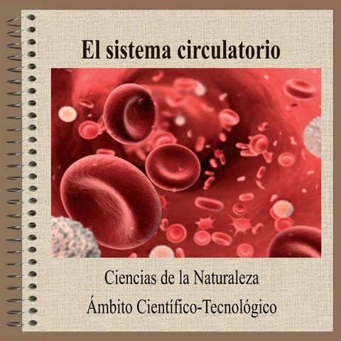 El sistema circulatorio | PPT