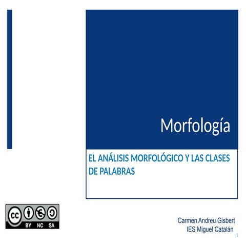 el-analisis-morfologico-y-las-clases-de-palabras-2024-2025-rev.pptx