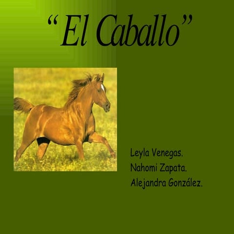 El Caballo | PPT