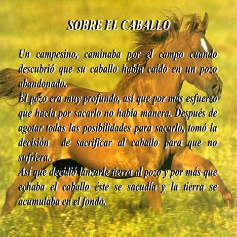 el caballo | PPS