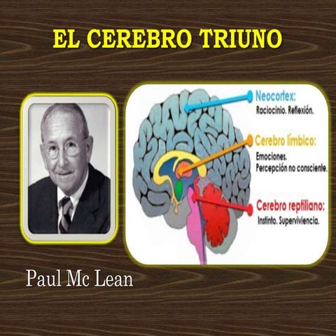 el-cerebro-triuno.ppt