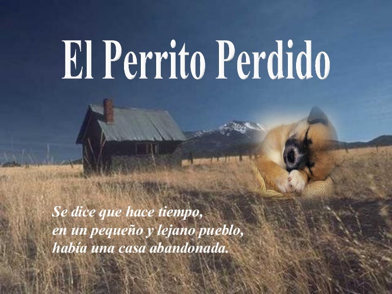 El Perrito Perdido