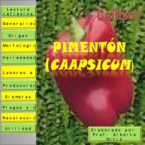 El Pimenton | PPT